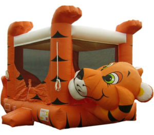 Tiger Bounce – Vancouver PartyWorks